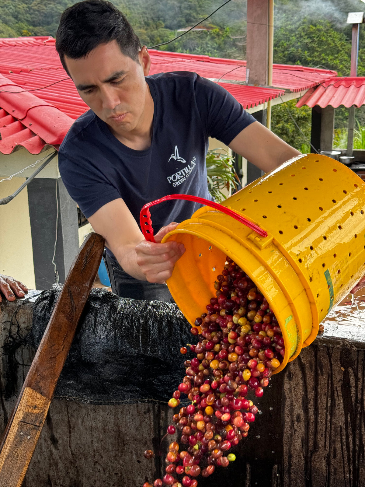 Finca El Tambo – Portillas Café